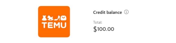 What Modes of Payment Does Temu Accept in 2024 | All you Need to Know ...