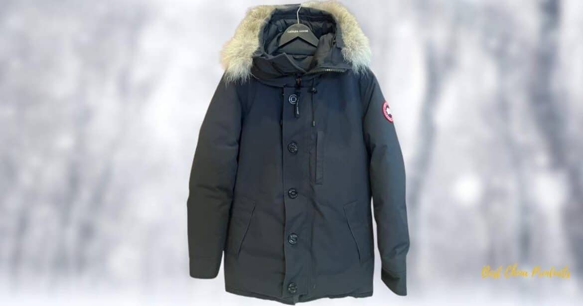 Best Canada Goose Jacket Dupes You Can Buy Online in 2025 [Budget Under ...