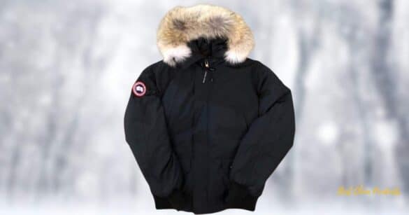 Best Canada Goose Jacket Dupes You Can Buy Online in 2025 [Budget Under ...