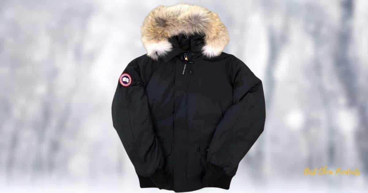 Best Canada Goose Jacket Dupes You Can Buy Online in 2025 [Budget Under ...