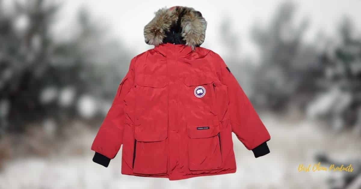 Best Canada Goose Jacket Dupes You Can Buy Online in 2025 [Budget Under ...