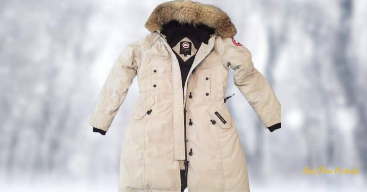 Best Canada Goose Jacket Dupes You Can Buy Online in 2025 [Budget Under ...
