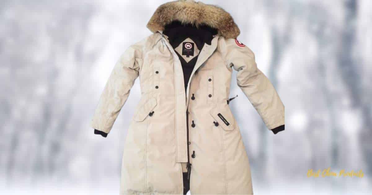 Best Canada Goose Jacket Dupes You Can Buy Online in 2025 [Budget Under ...