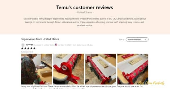 How to Review Temu Products and Get Paid? | Best China Products